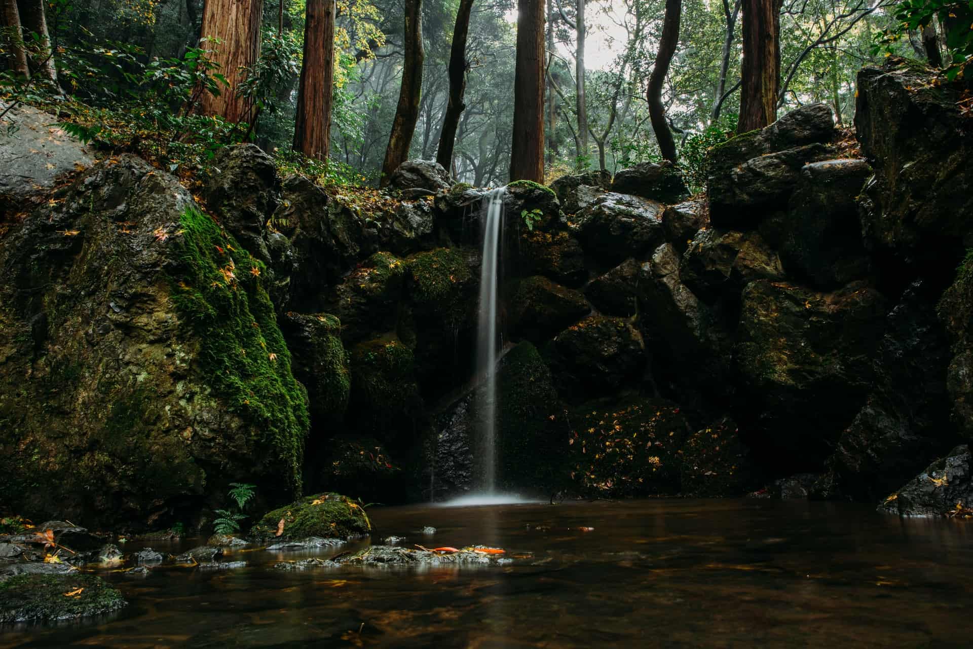 Easily Avoid Jet Lag When Travelling To Japan. - A Day Of Zen