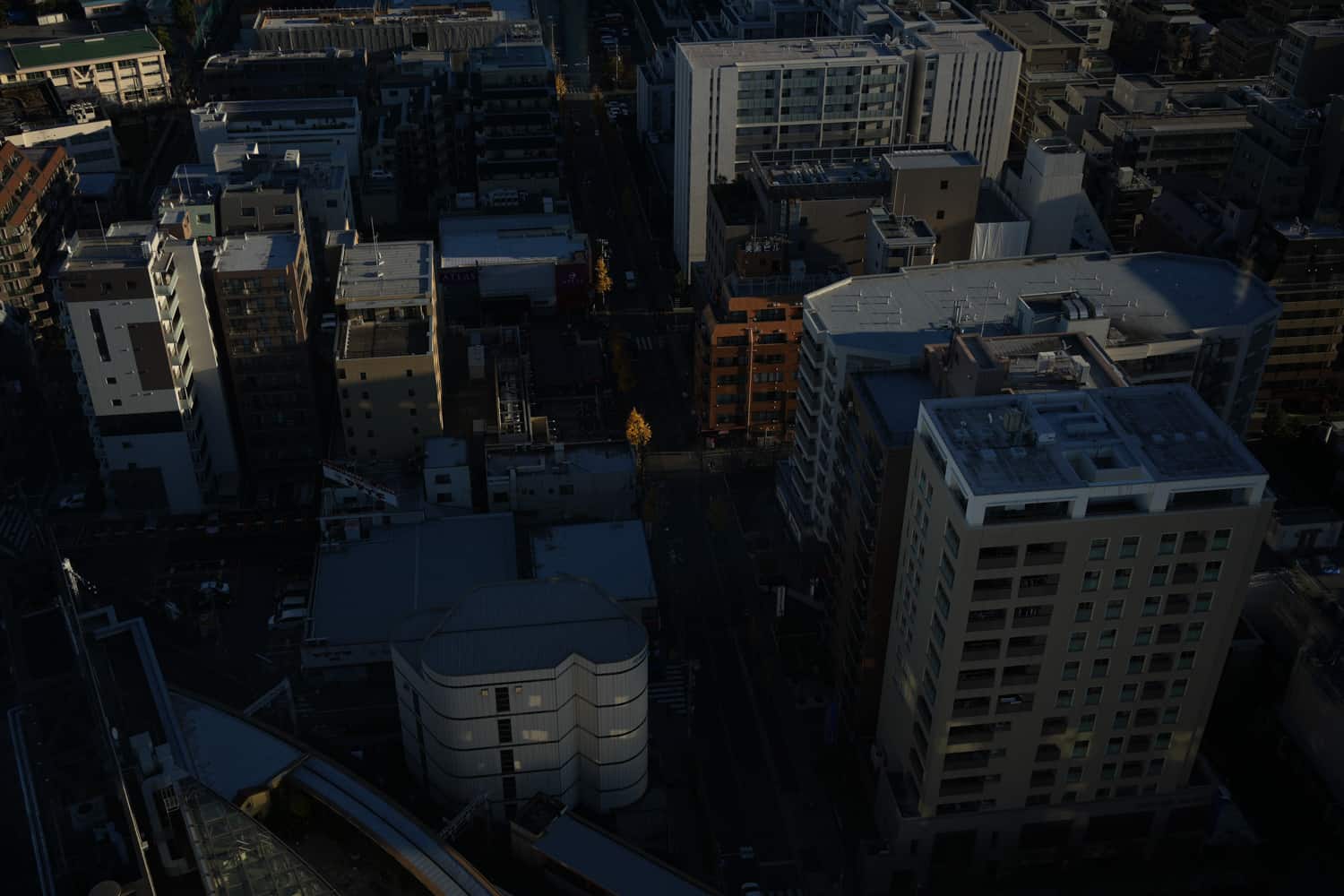 The Best Tokyo Viewing Platform? - A Day Of Zen