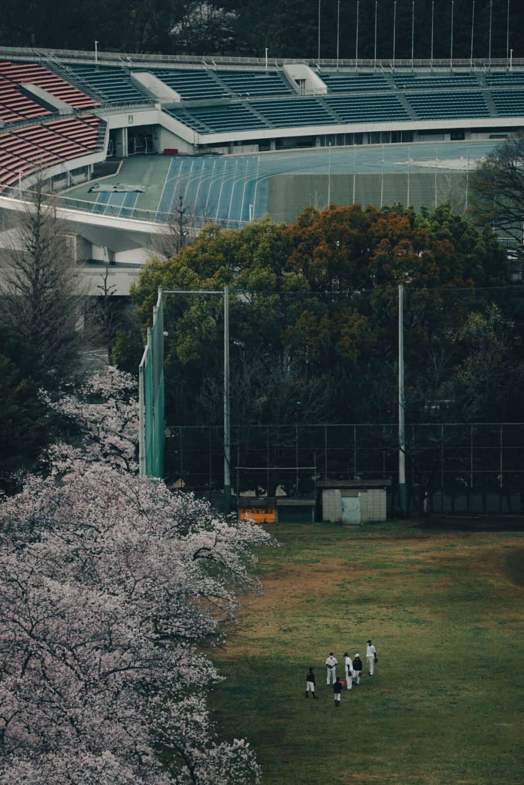 Why is Japan So Good at Baseball? - A Day Of Zen