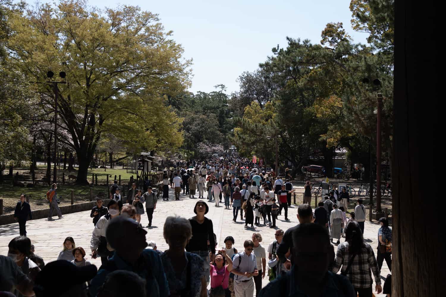 Why is Japan So Crowded? (And 9 Ways to Avoid Everyone!) - A Day Of Zen