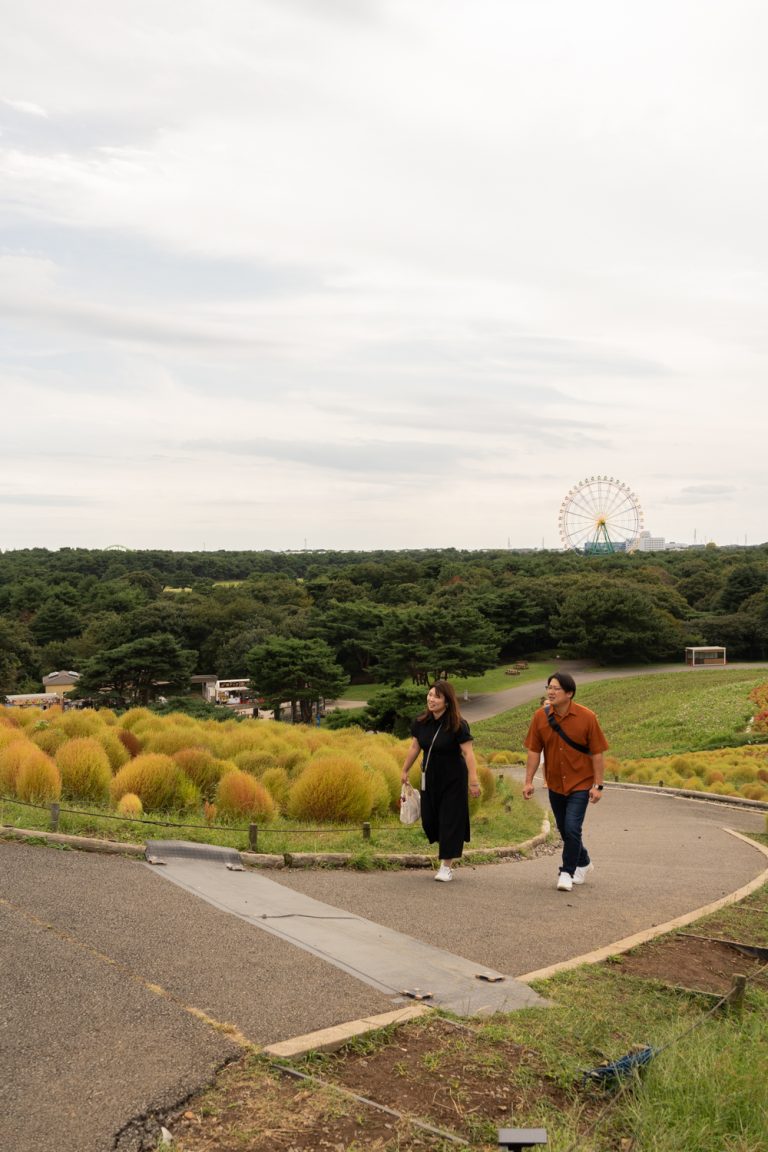 Hitachi Seaside Park - A Day Of Zen