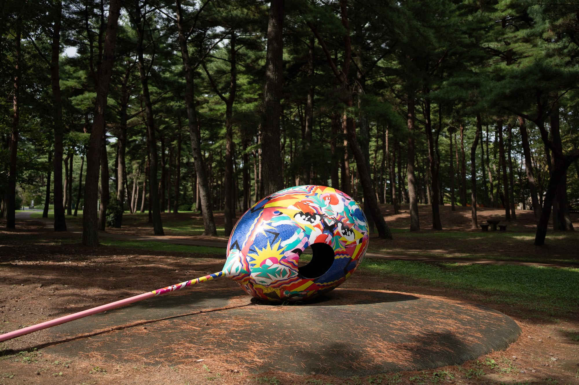 Hitachi Seaside Park - A Day Of Zen