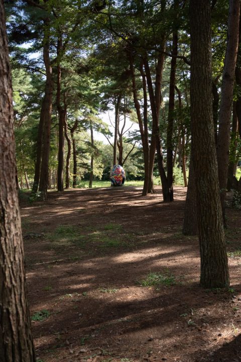 Hitachi Seaside Park - A Day Of Zen